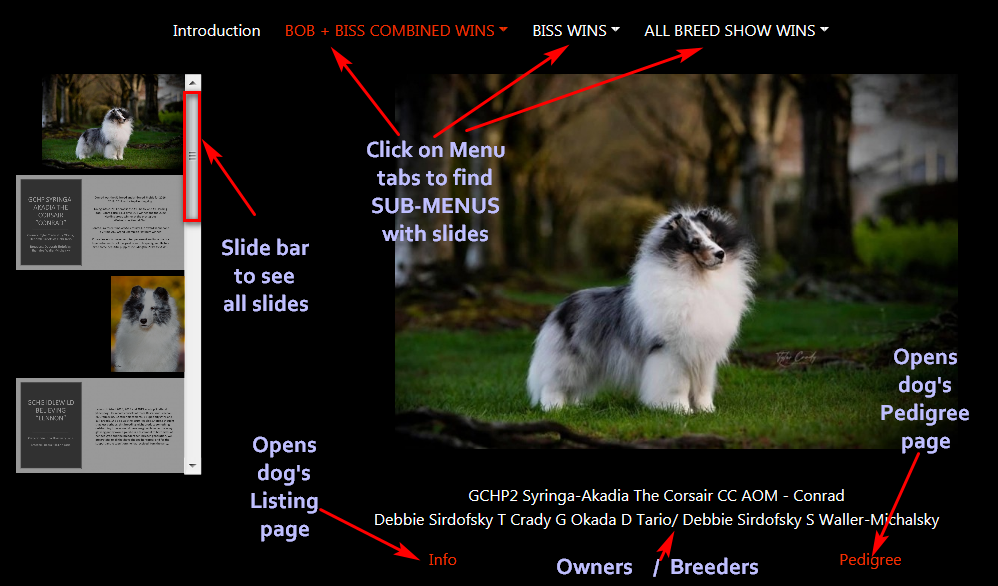 Welcome to our Slideshows